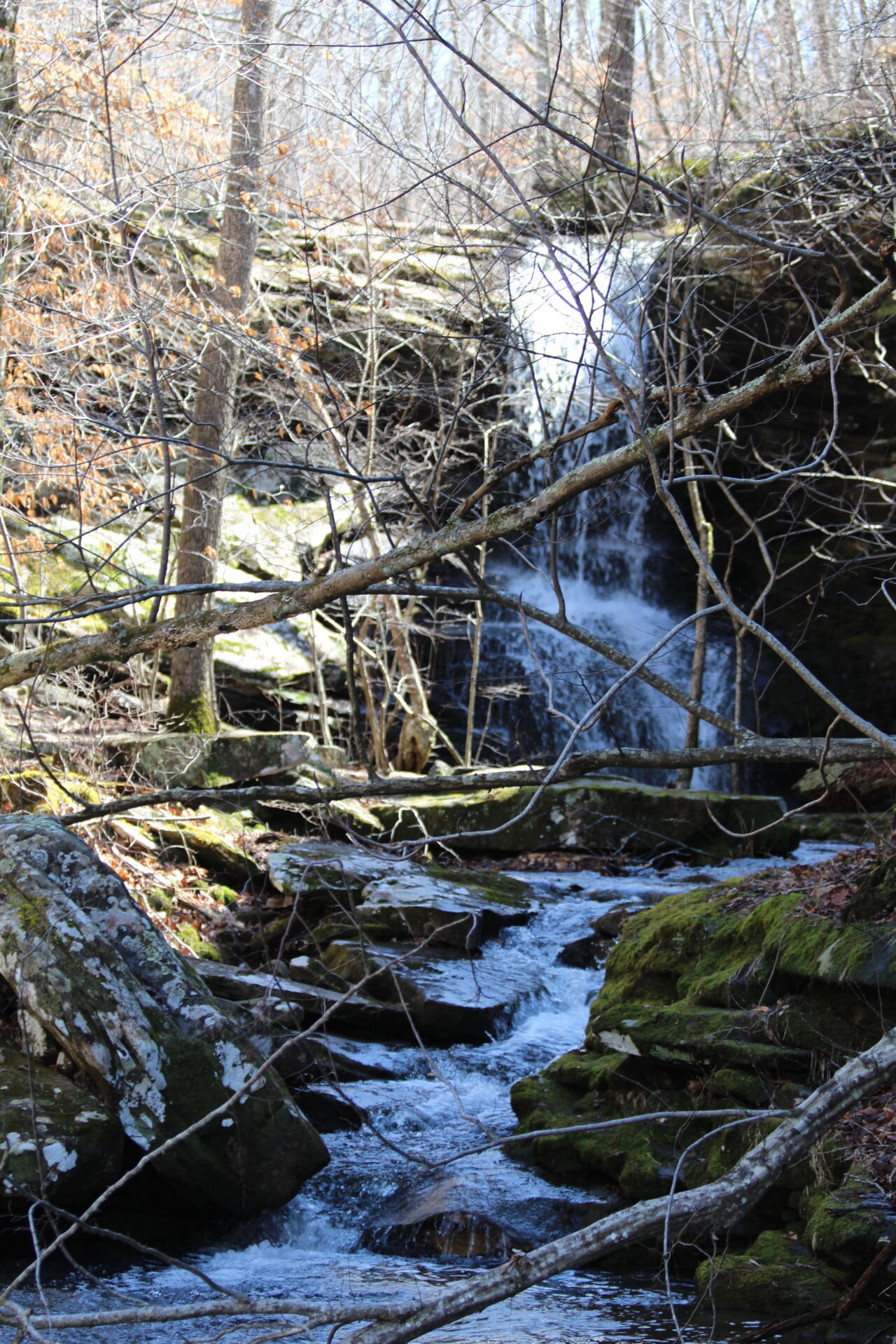 Magnolia Falls | Ozark Experience